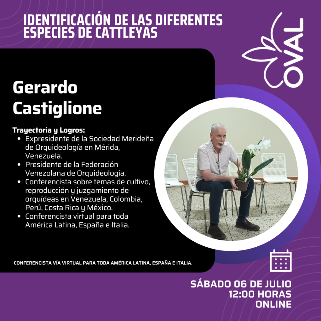 Orquídeas Valencia OVAL - Orquídiofils valencians