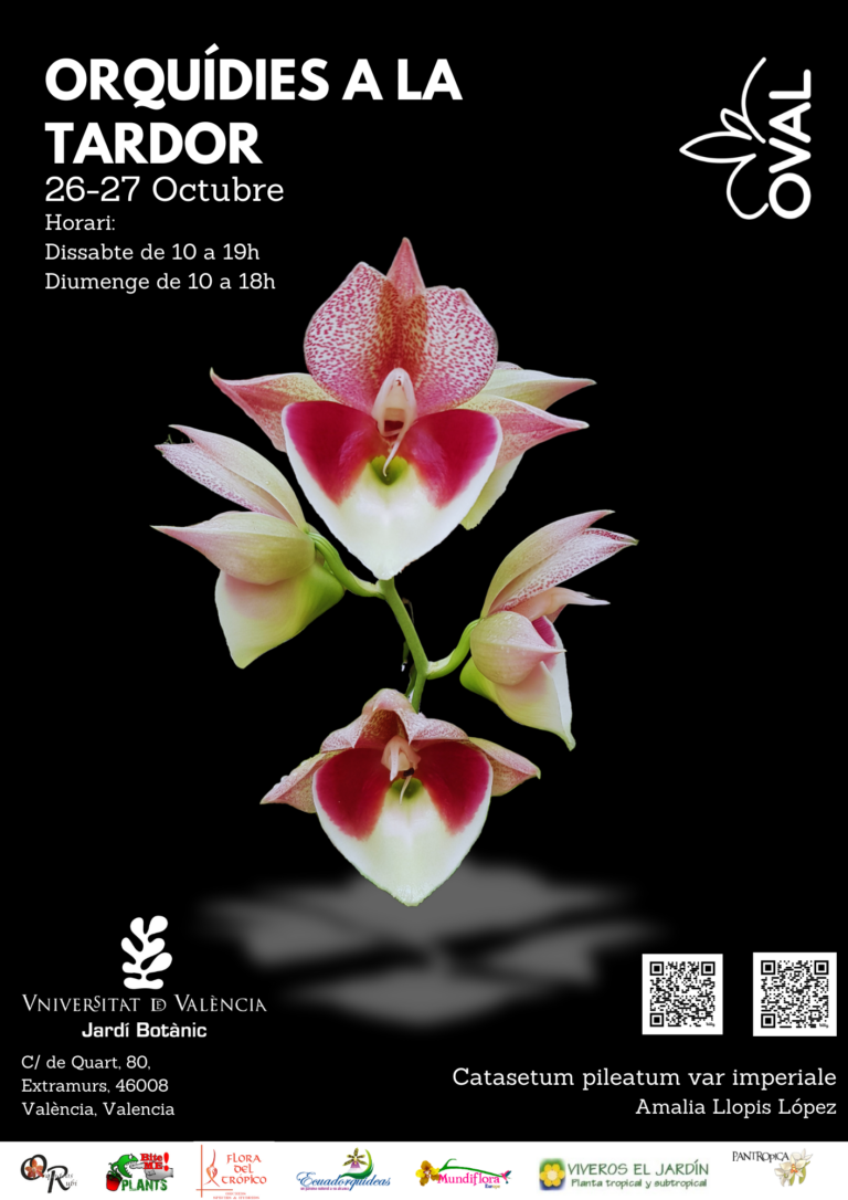 Orquídeas Valencia OVAL - Orquídiofils valencians